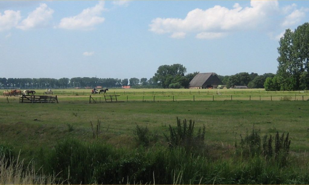Erfgoed van Rhoon – VVPA